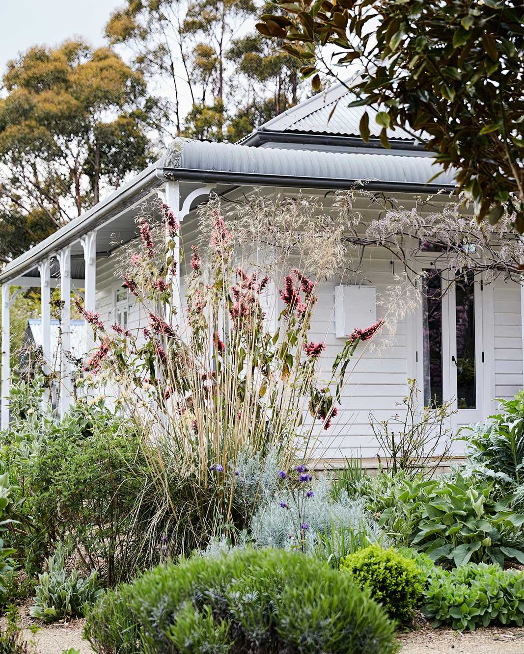 Little Oak Cygnet - Airbnb Accommodation Southern Tasmania